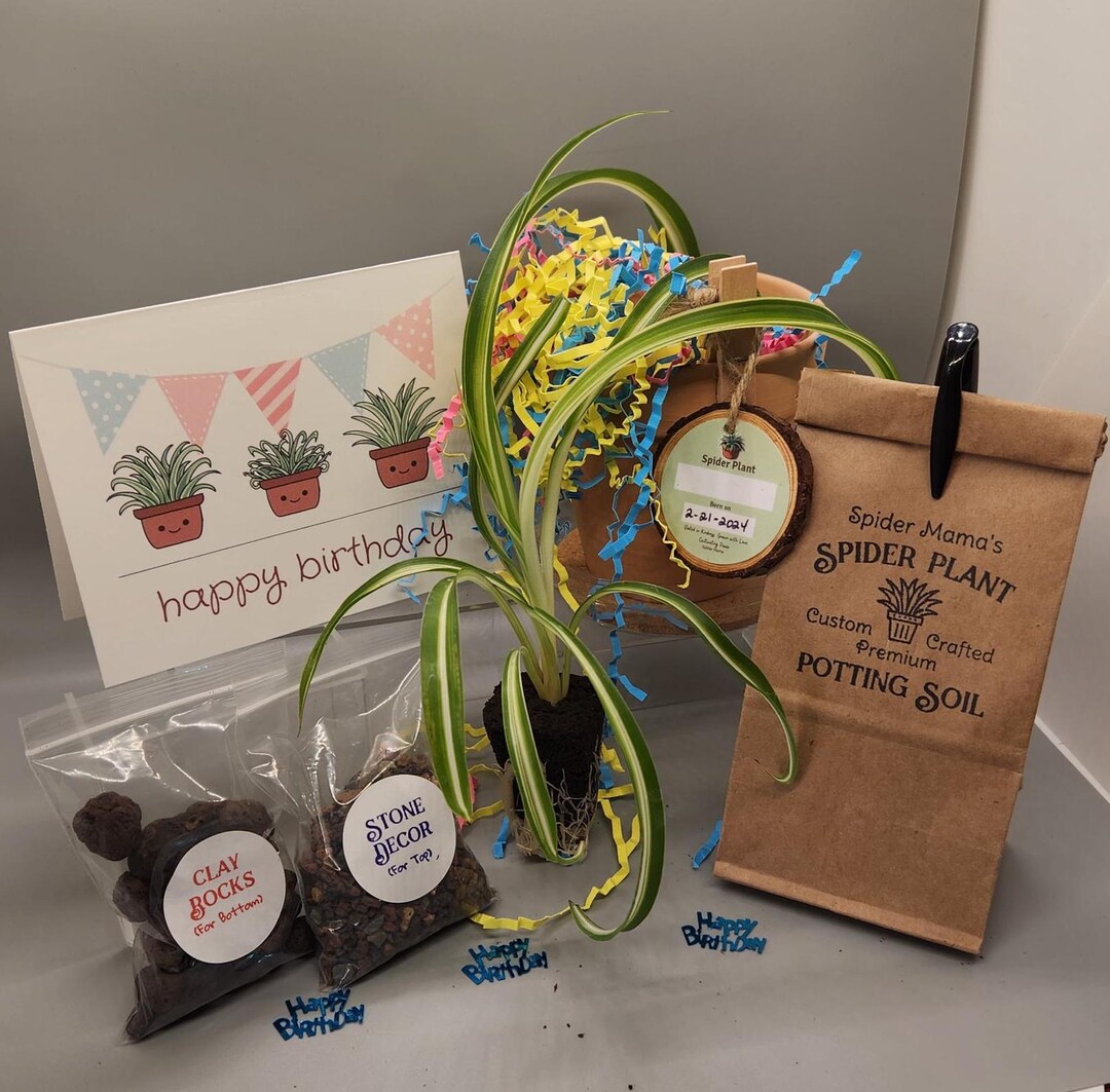 Birthday Plant Gift Set - Plant Included!! FS - Etsy