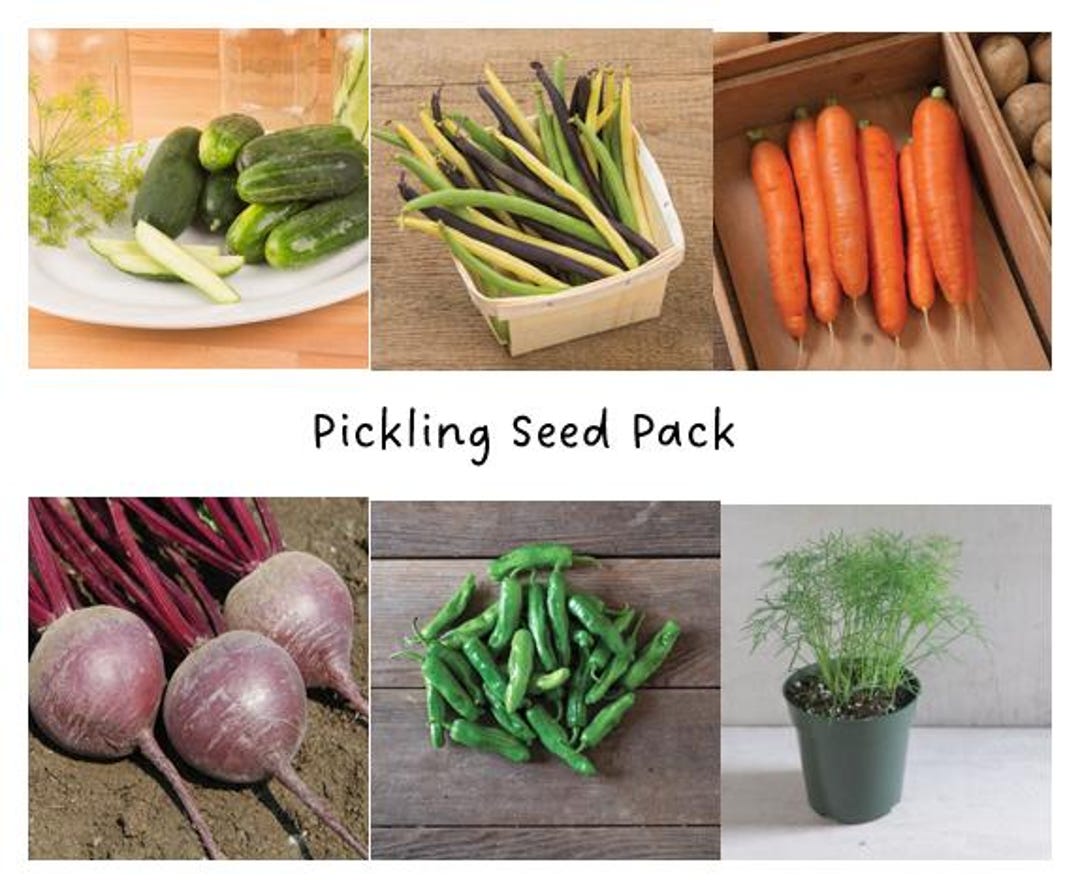 Premium Variety Pickling Seed Pack - Let's Grow Together! - Etsy