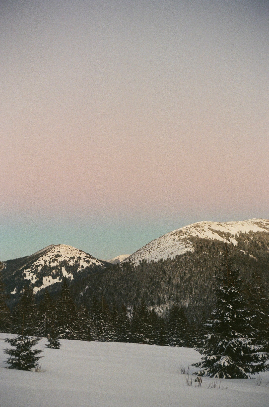 Print / Poster. Analog Photography - Etsy