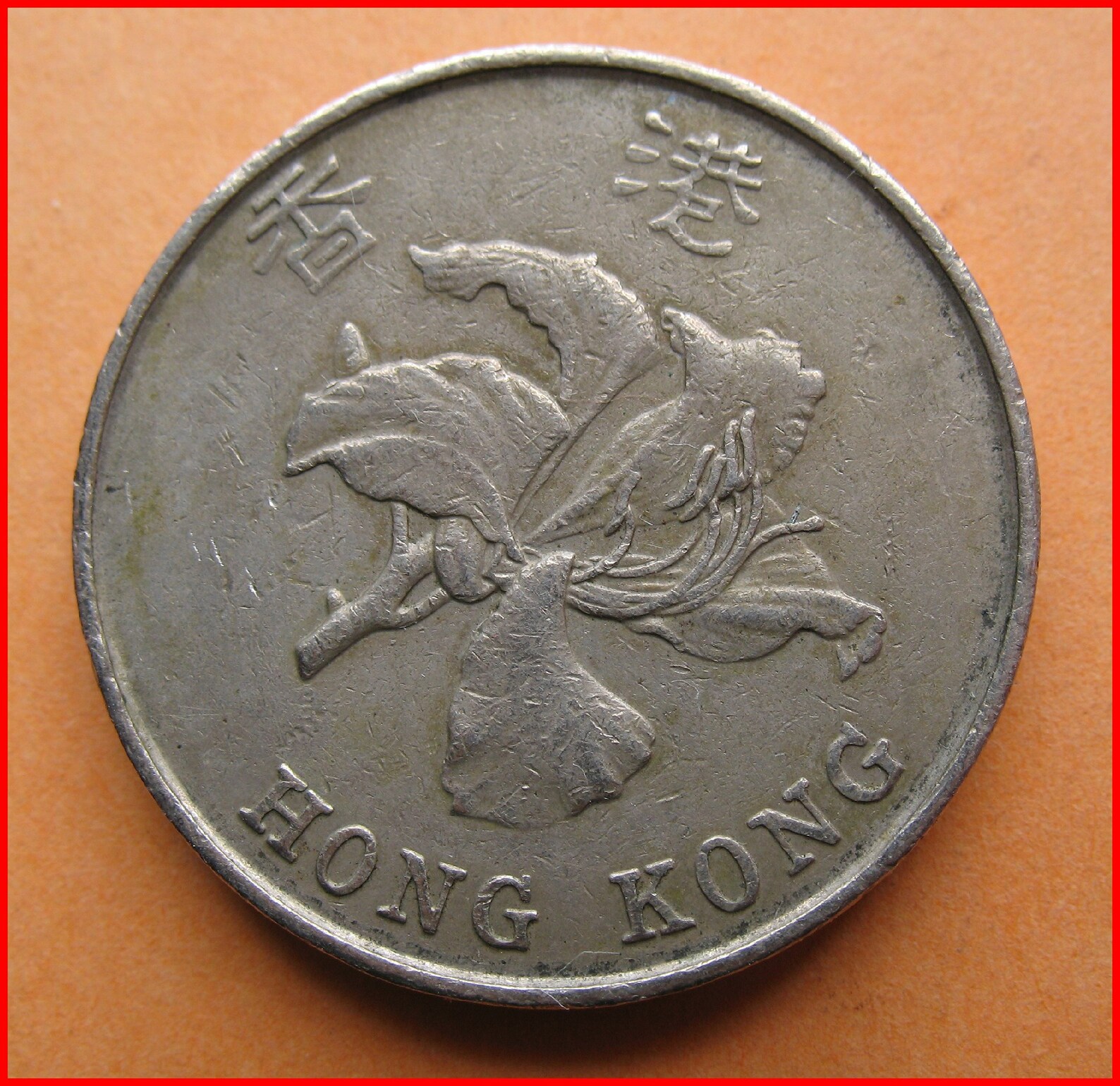 Hong Kong Five Dollar 1995 Coin Copper-nickel 15 - Etsy
