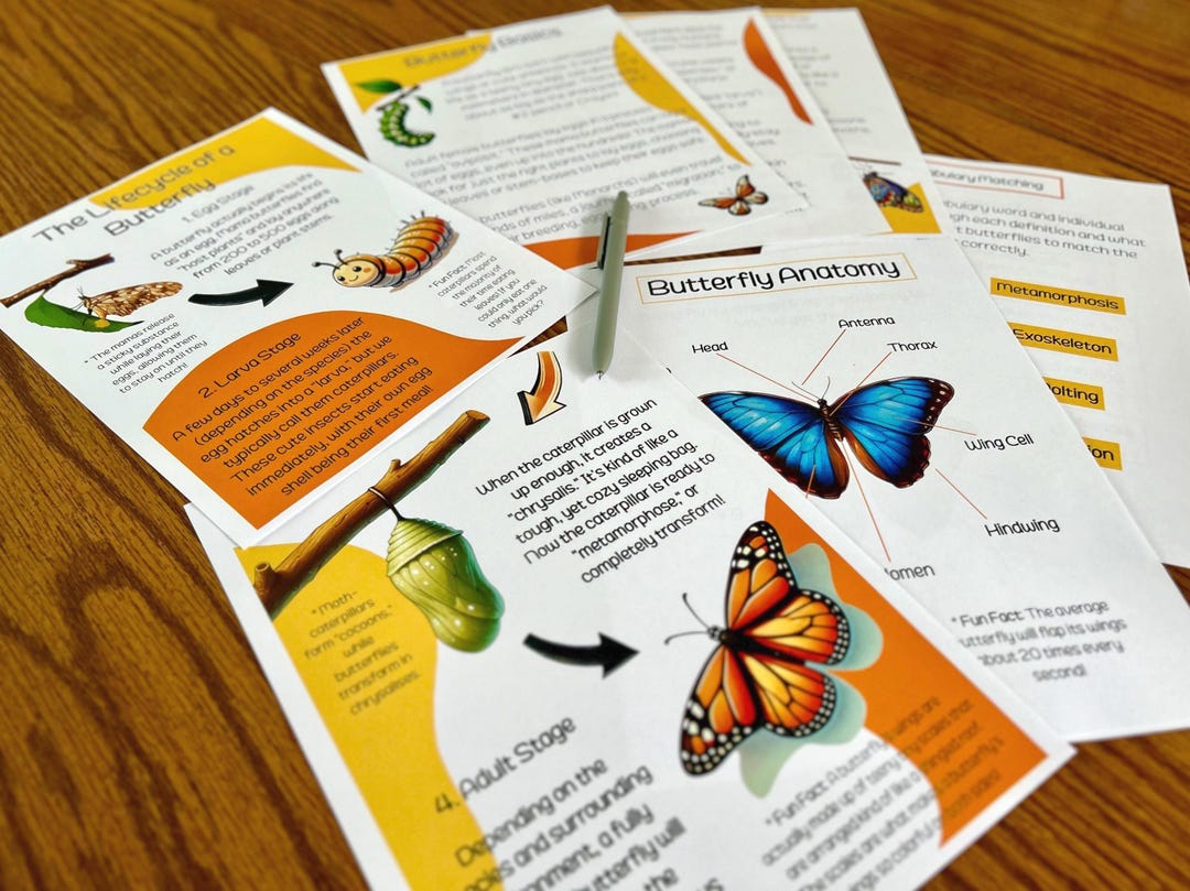 Butterfly Basics Learning Bundle - Etsy