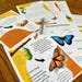 Butterfly Basics Learning Bundle - Etsy