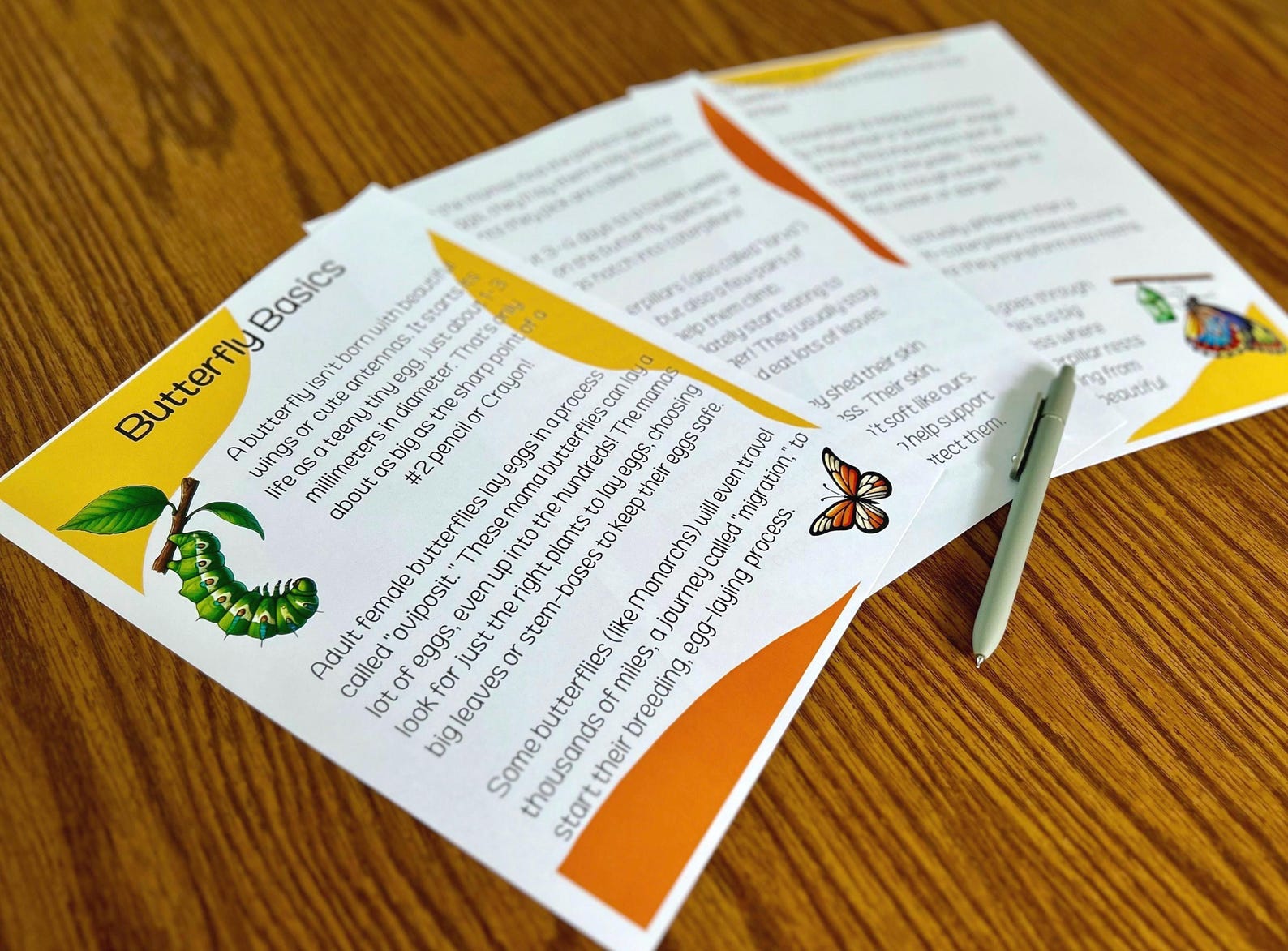 Butterfly Basics Learning Bundle - Etsy