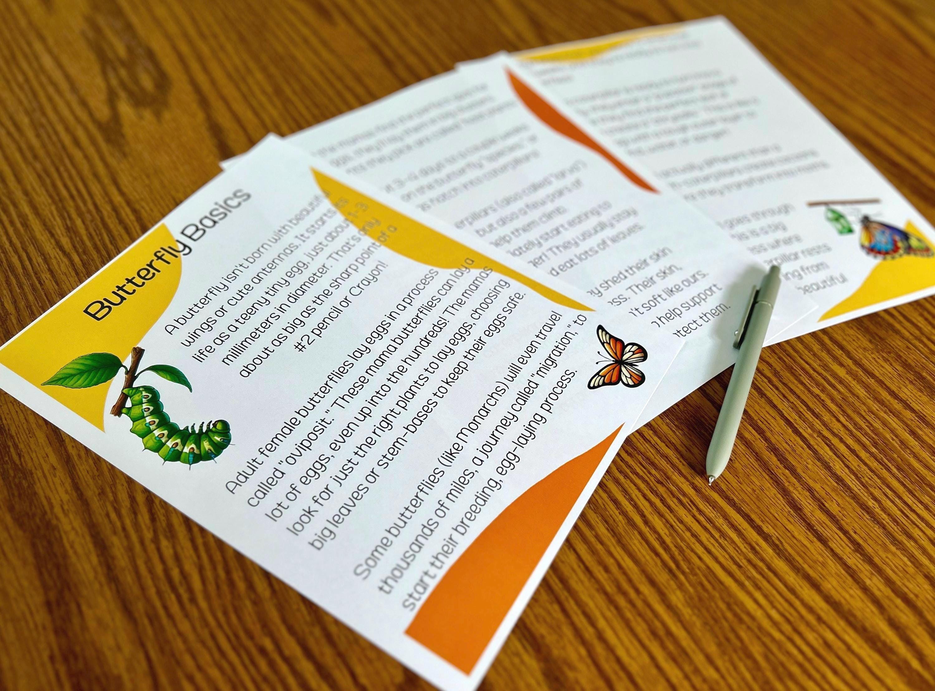 Butterfly Basics Learning Bundle - Etsy