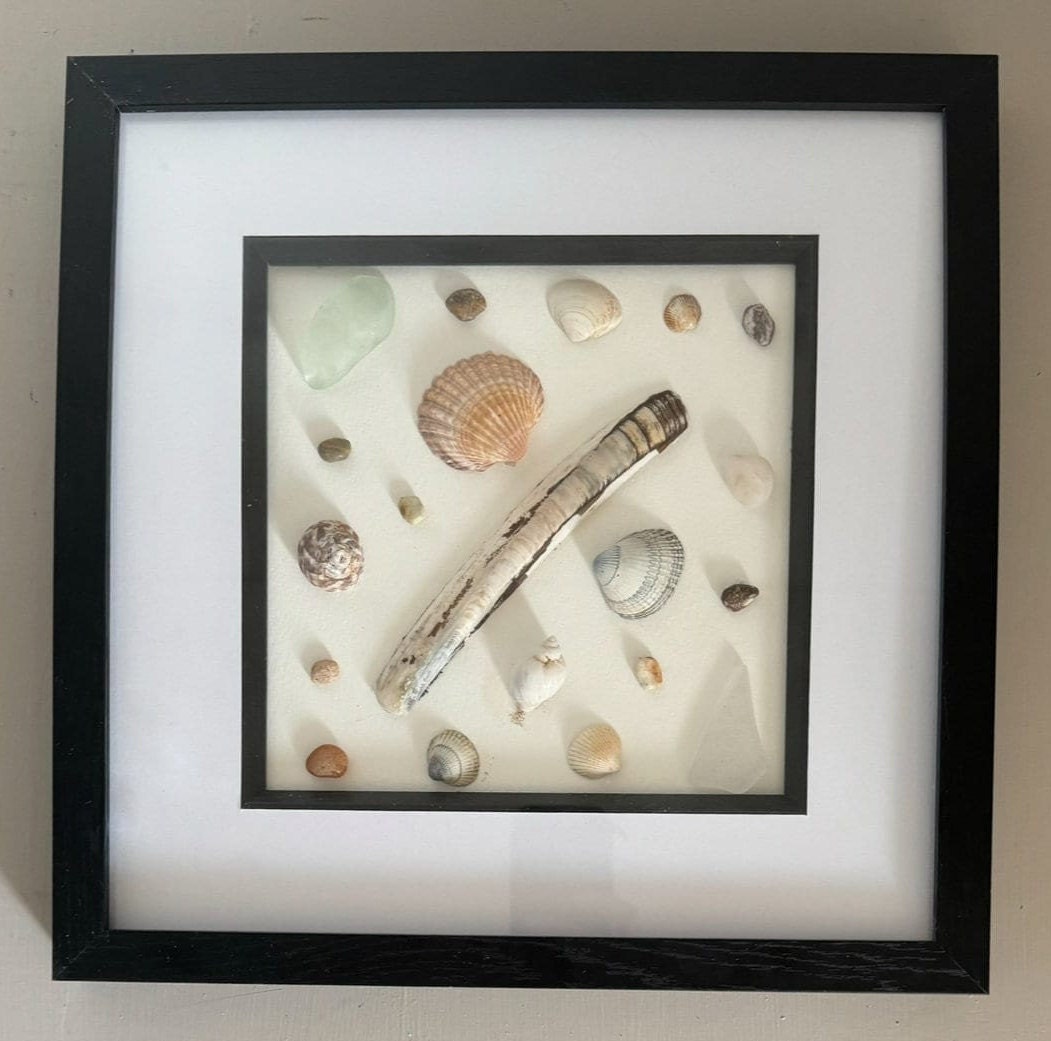 Devon Natural Seashell and Sea Glass Art - Etsy