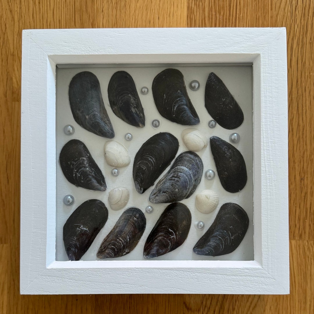 Devon Blue Mussel and Seashell Art - Etsy