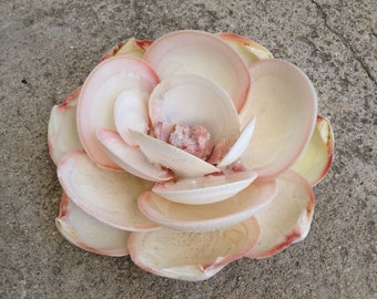 Shell flower | Etsy