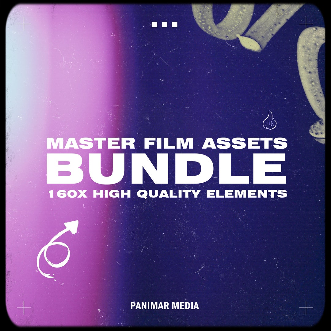 160 FILM ASSETS | Master Bundle | Video & Photo Presets | Video Presets ...