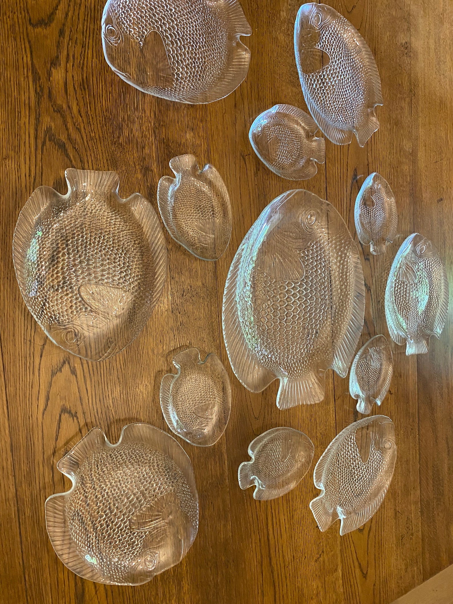 Arcoroc Glass Físh Plates . Unusual to Find 6 Dinner Plates , 1 Serving ...