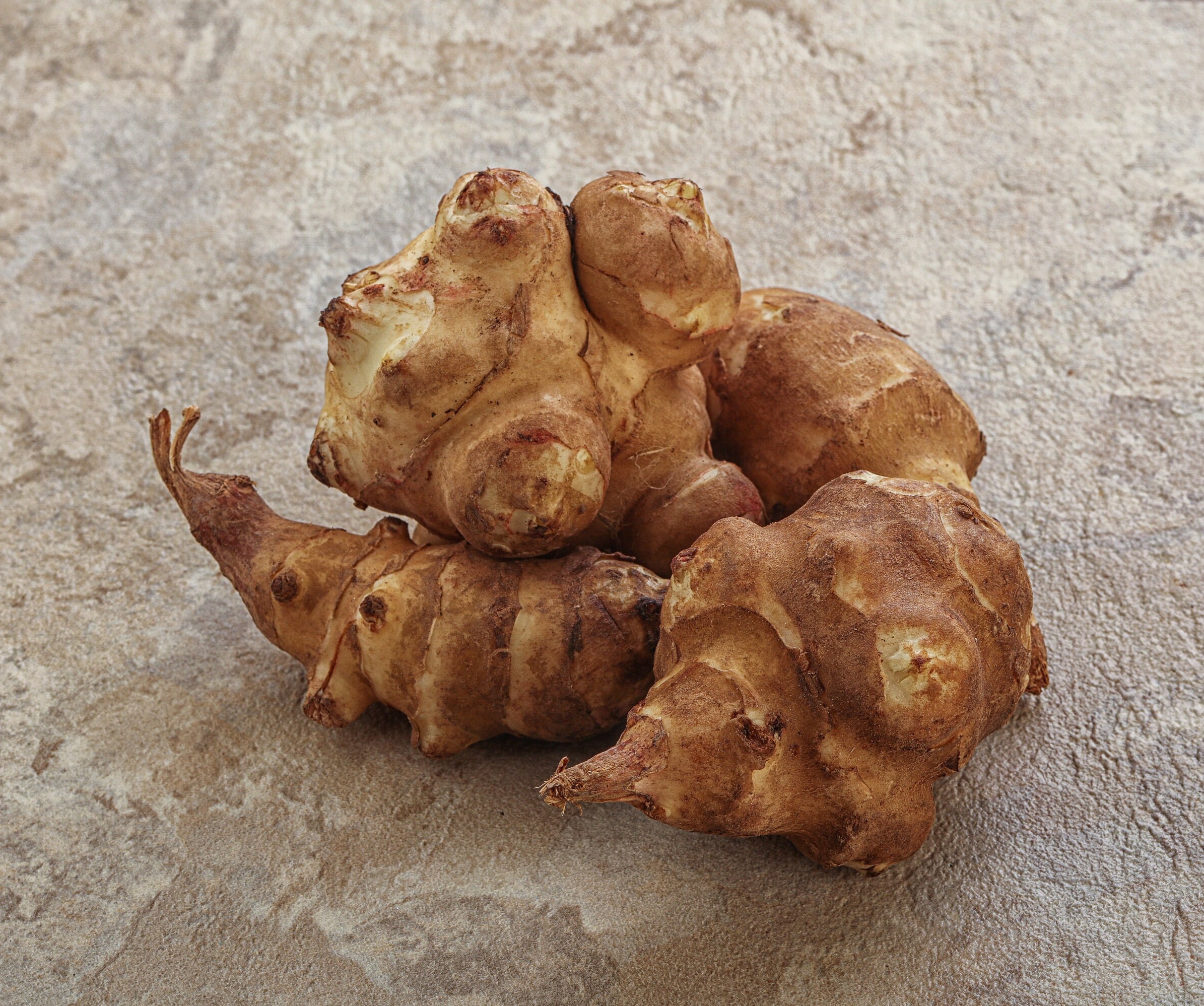 Sunroot Tubers - Sunchokes Tubers - Helianthus Tuberosus - Jerusalem ...