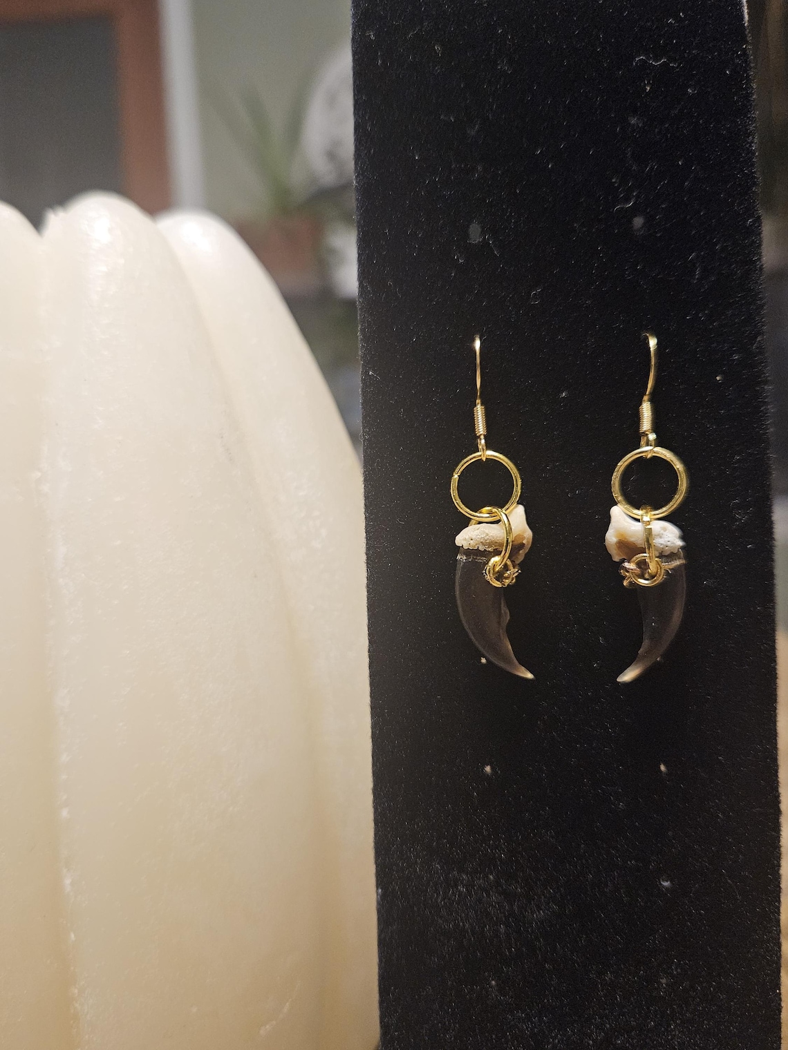 REAL Coyote Claw Earrings, Bone Jewlery, Odd, Gf Gifts, Bf Gifts ...