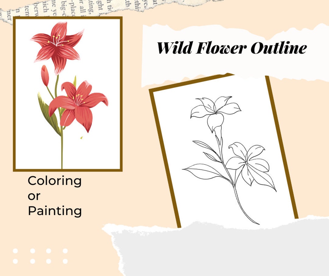 Wild Flower Outline Drawing PDF Digital Download for Coloring or ...