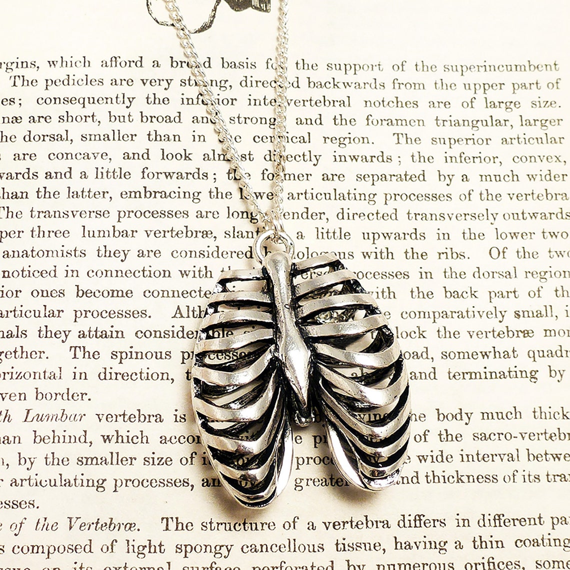 Gothic Rib Cage Necklace Anatomical Ribcage Silver Skeleton | Etsy