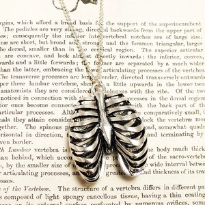 Gothic Rib Cage Necklace Anatomical Ribcage Silver Skeleton - Goth ...