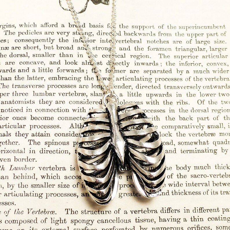 Gothic Rib Cage Necklace Anatomical Ribcage Silver Skeleton - Etsy
