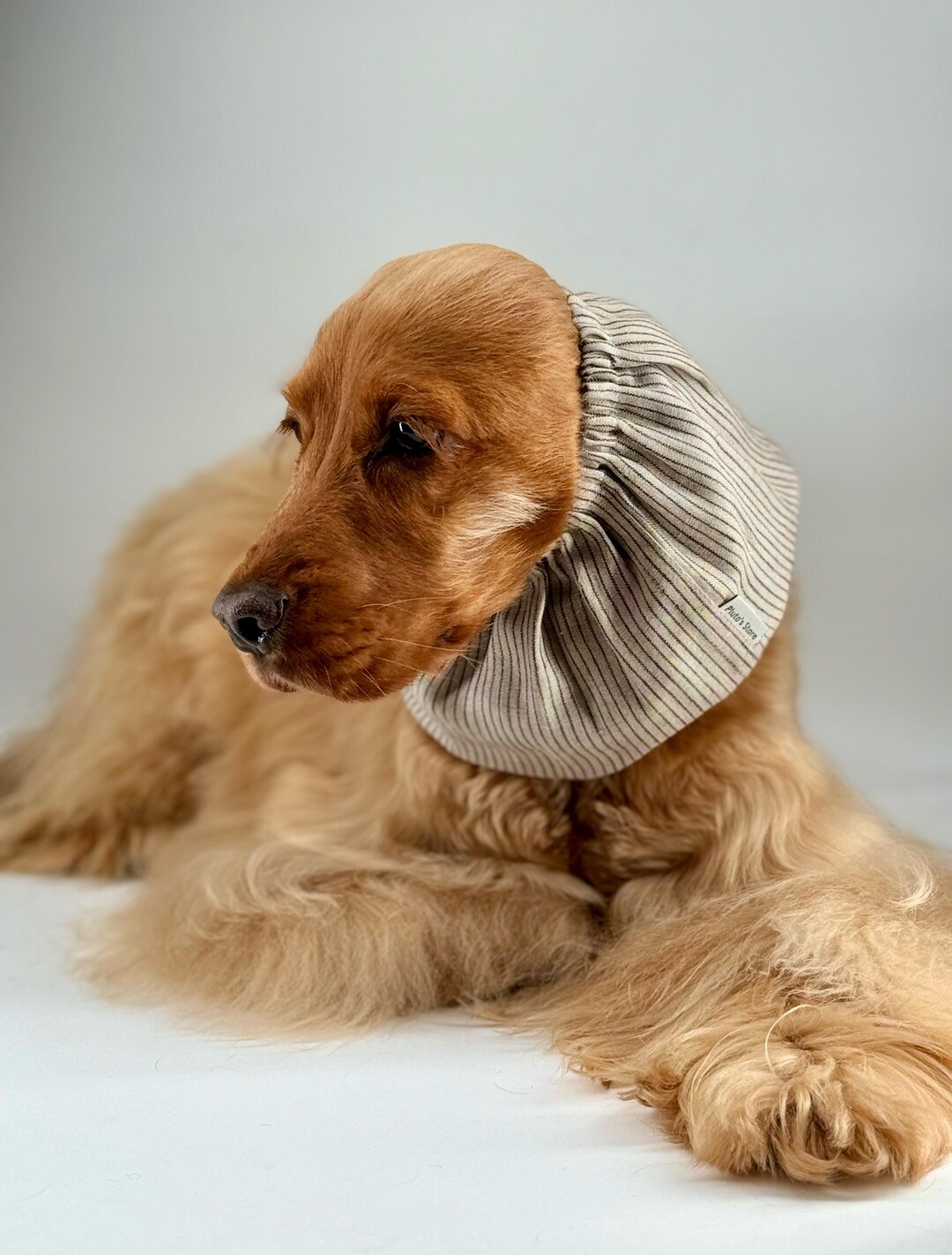 Chic & Elegant Linen Summer Snood for Spaniel Cavalier, Lightweight ...