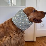 Cocker Spaniel - Etsy