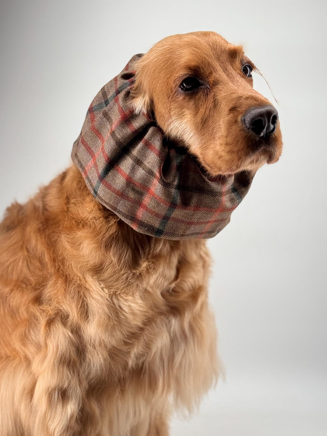 Snood Ear Warmer in Wool/viscose Tartan, Chic Elegant, Spaniel Cavalier ...