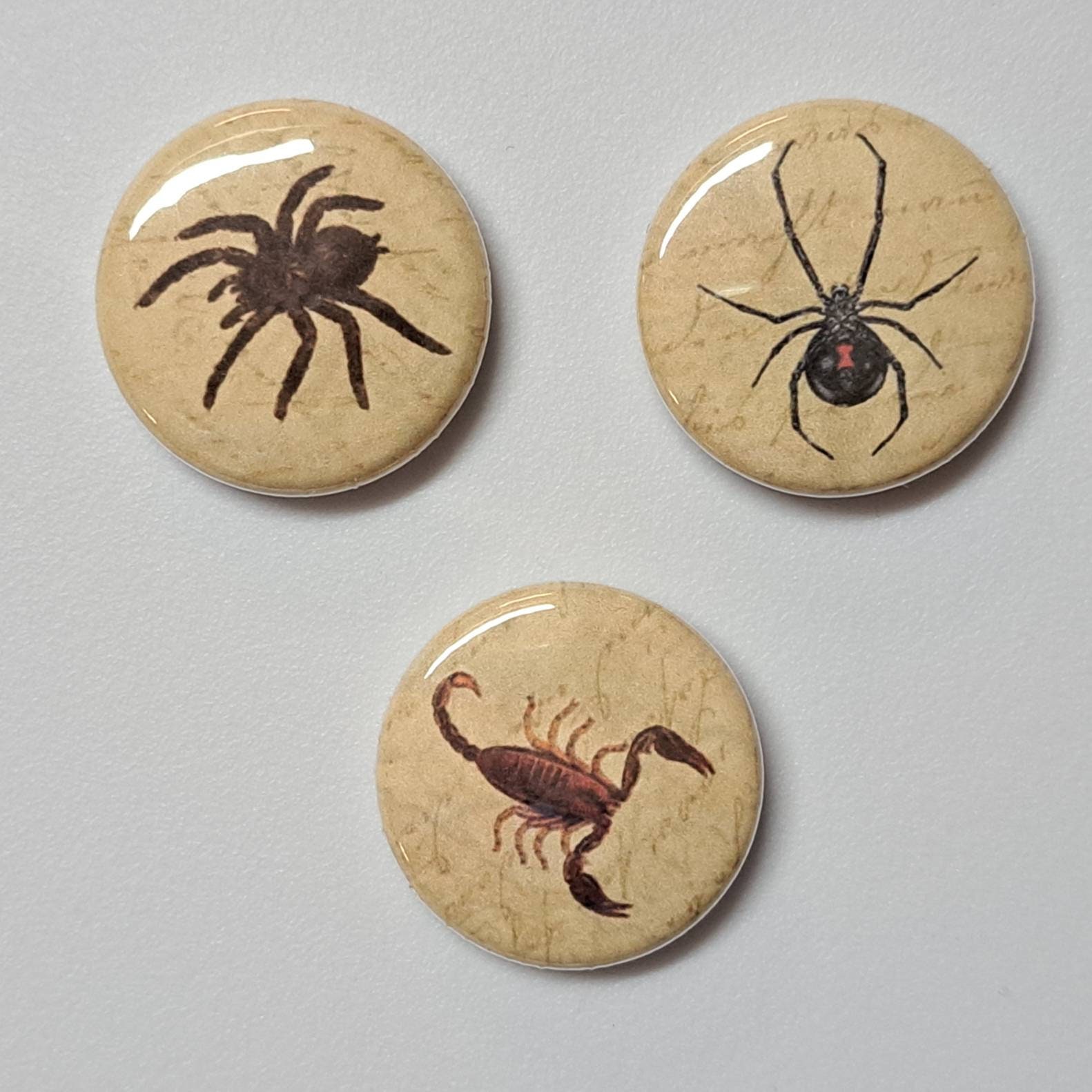 Insects and Creepy Crawlies Illustrations on Antique Background 1 Inch ...