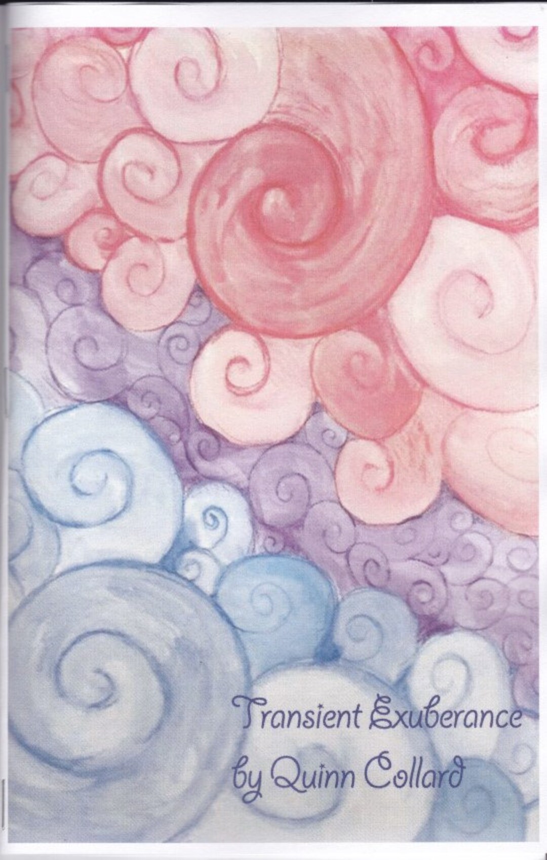 Transient Exuberance Poetry Zine - Etsy