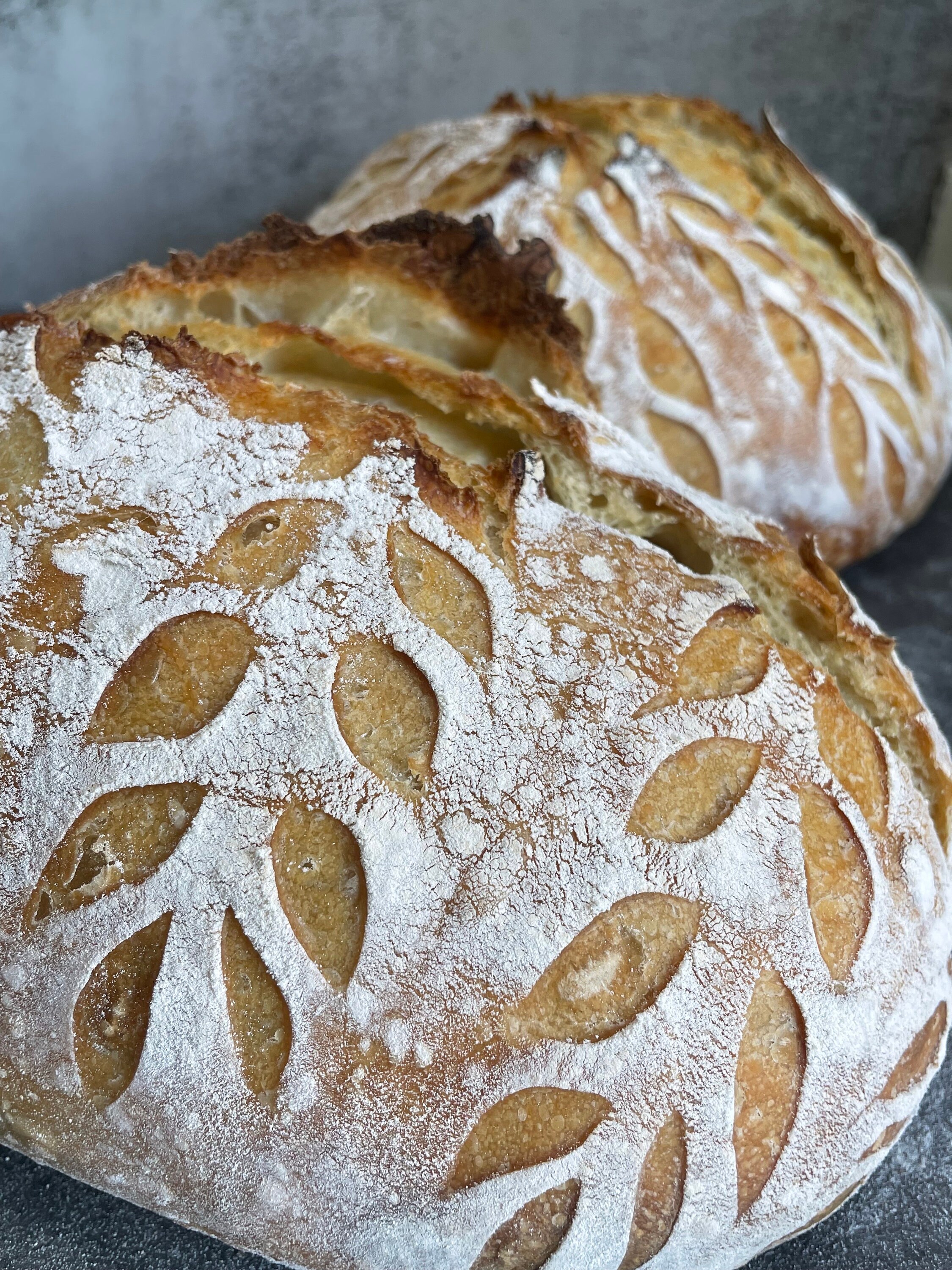Sourdough Baking Guide for Beginners: Recipes & Starter Directions (PDF ...