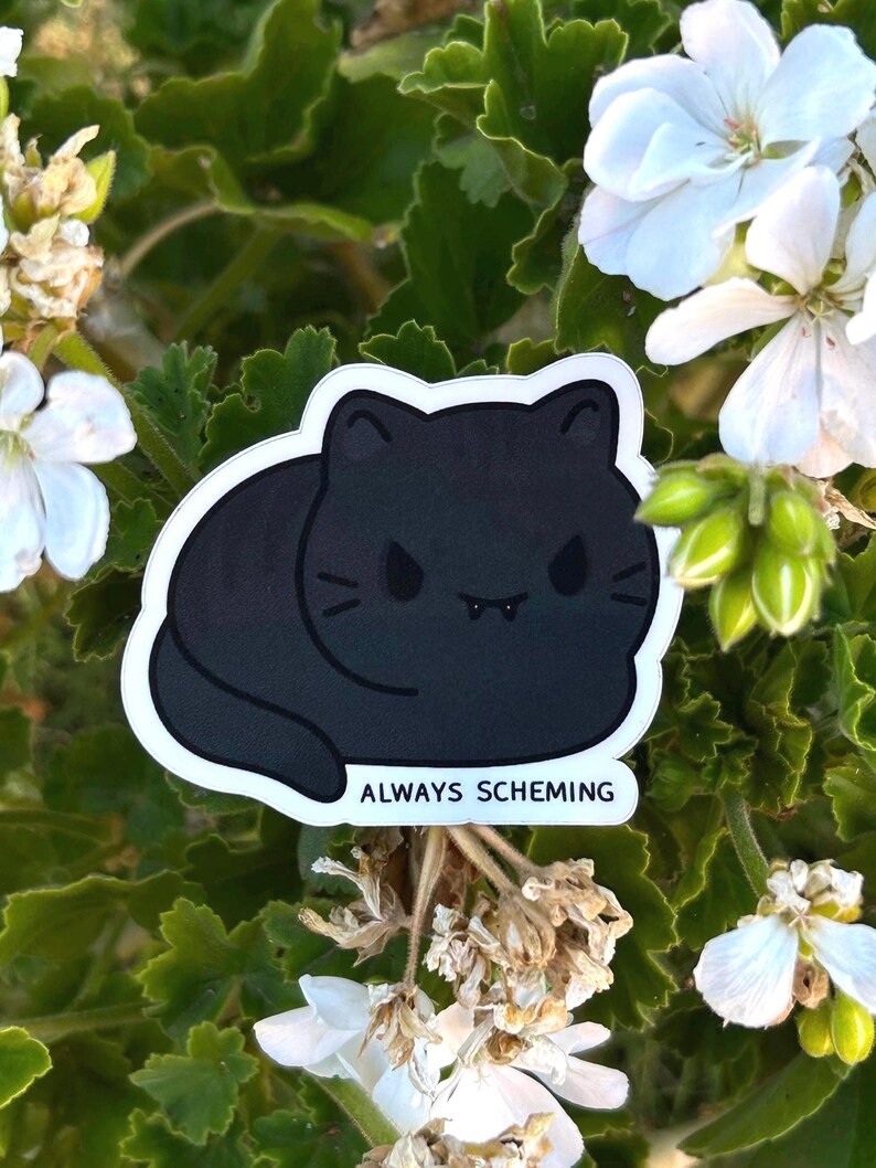 Black Cat’s Schemes Vinyl Sticker - Etsy