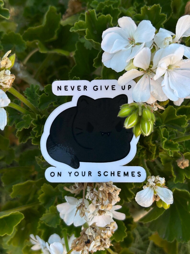 Black Cat’s Schemes Vinyl Sticker - Etsy
