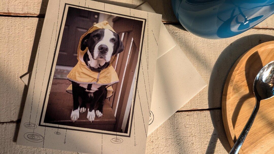 Cosmo Dog Greeting Card - "rainy Day" 8-pack of Cards/envelopes (blank ...