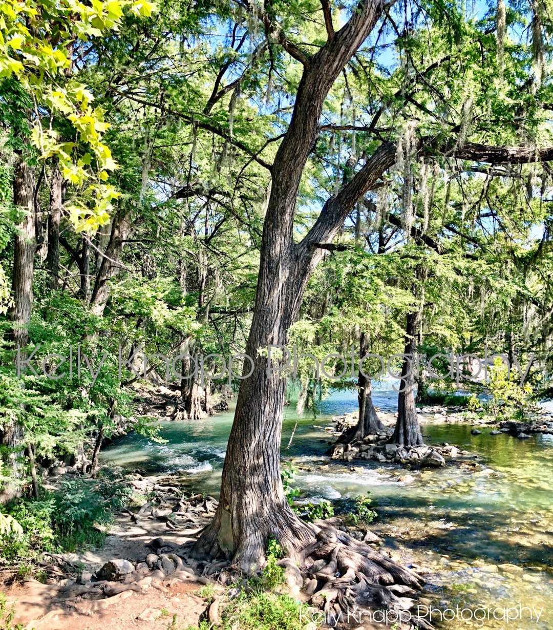 Texas Hill Country, Brazos River, River, Wetlands, Scenery - Etsy