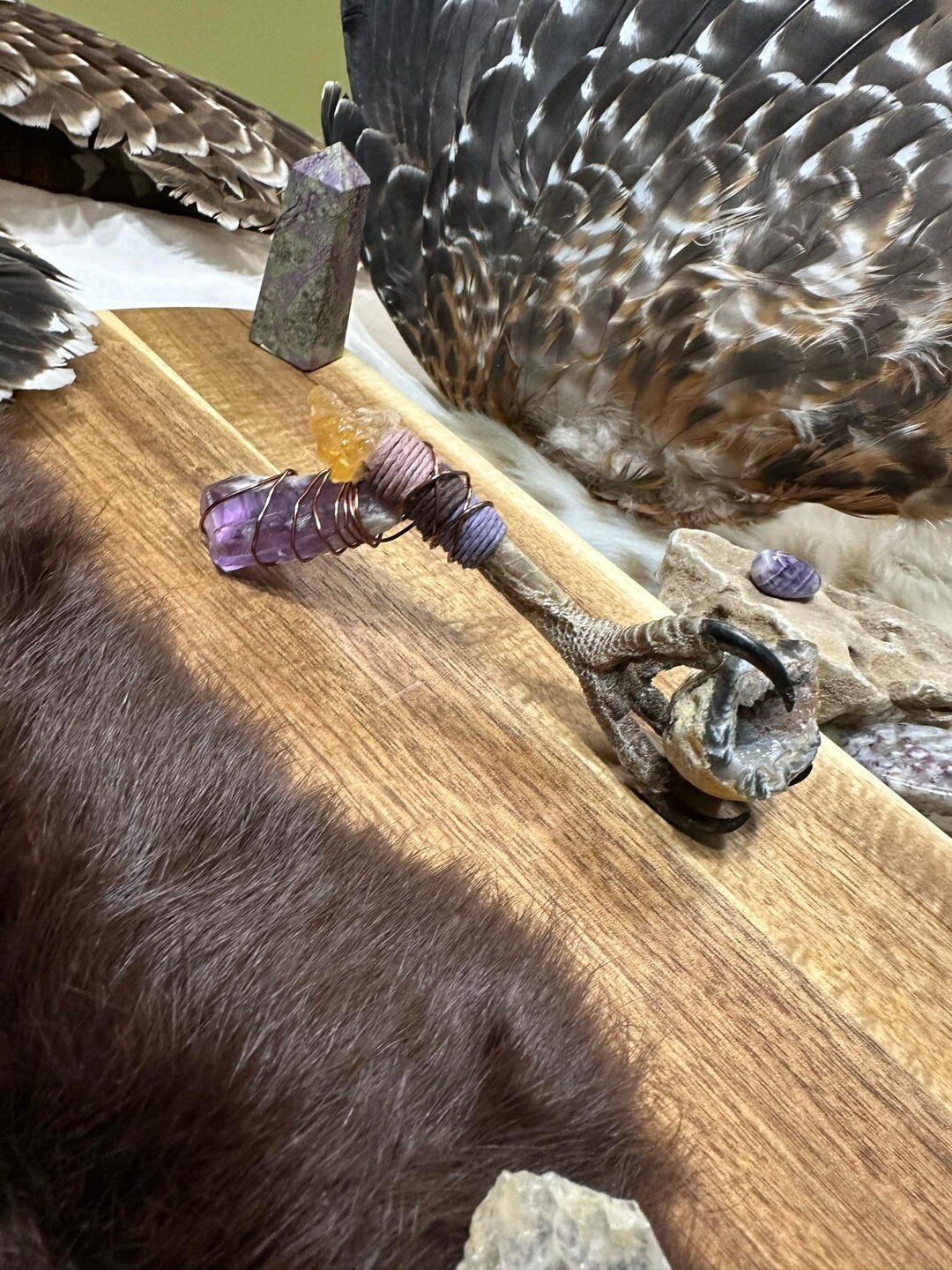 Genuine Hawk Paw Amulet - Etsy