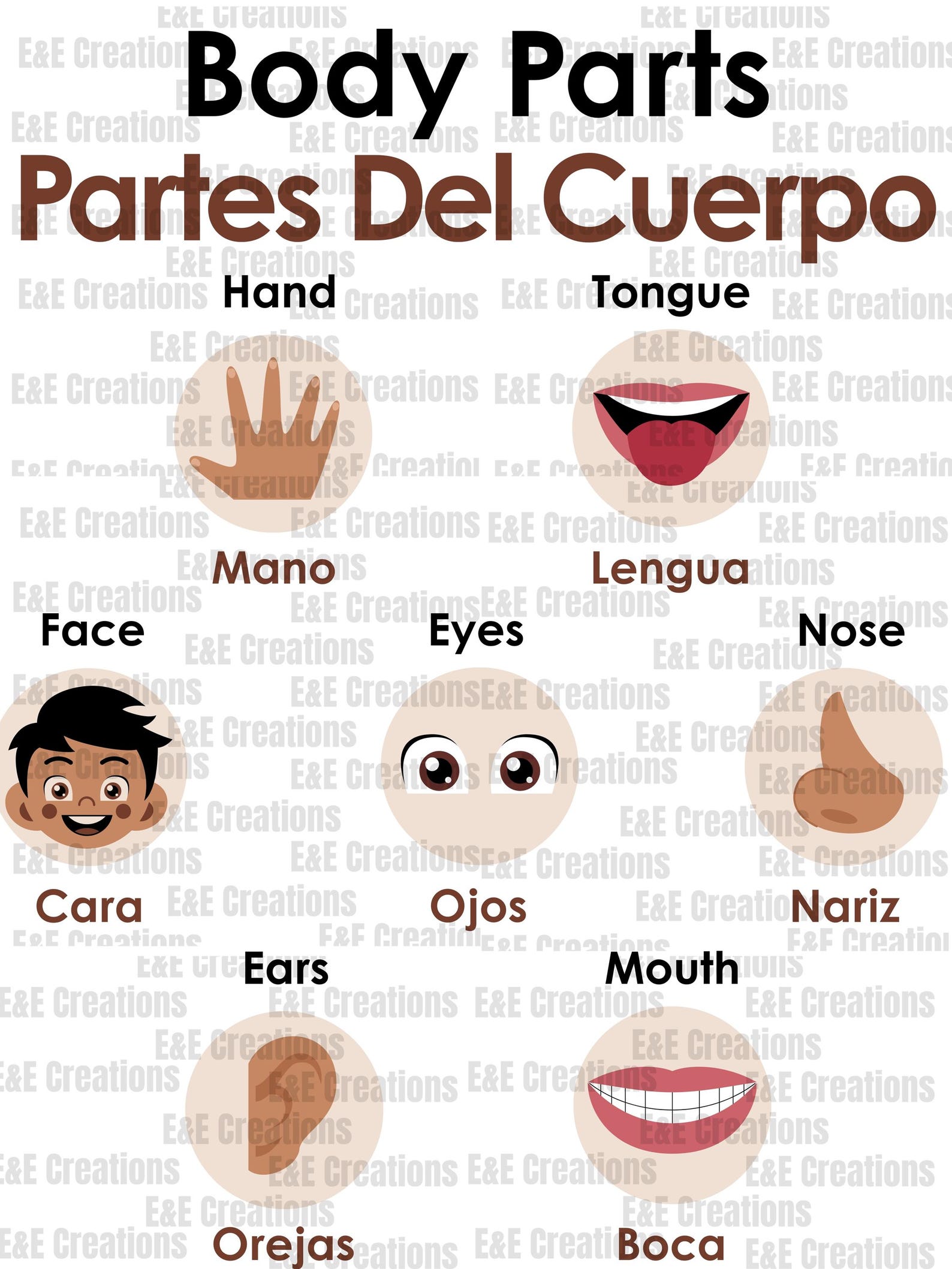 Bilingual Body Parts Poster – English + Spanish - Etsy