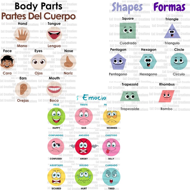 Bilingual Emotions + Body Parts + Shapes Poster Bundle - Etsy
