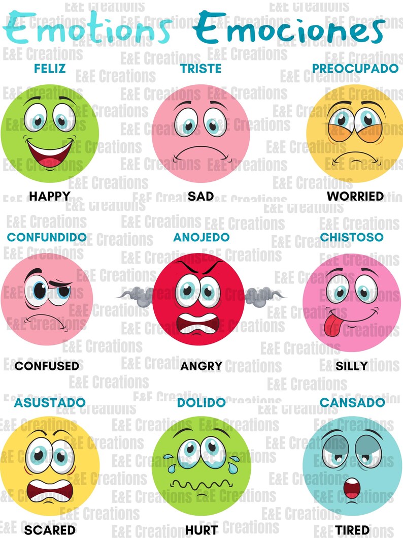 Bilingual Emotions + Body Parts + Shapes Poster Bundle - Etsy