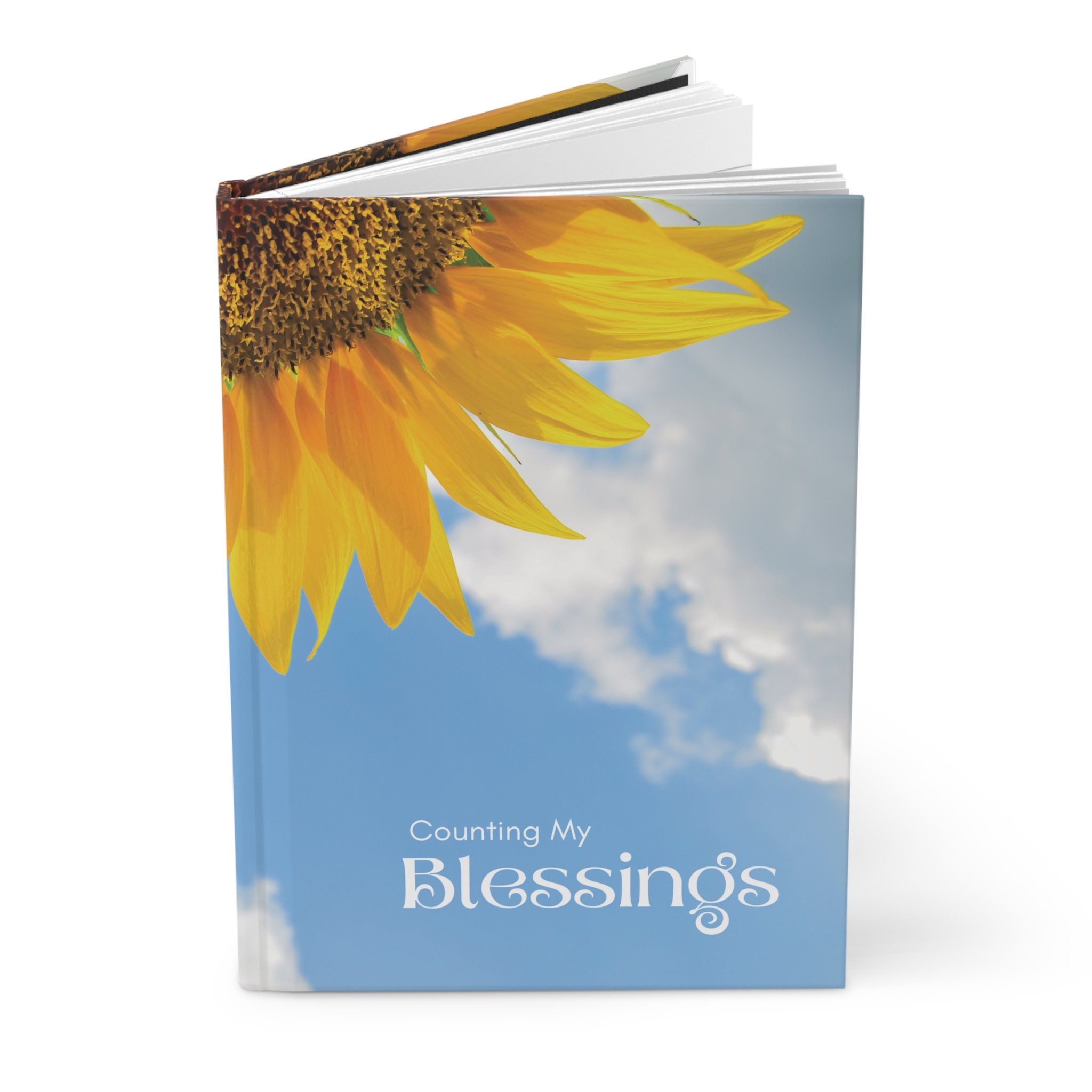 Counting My Blessings Affirmation Journal, Gratitude Journal, Positive ...