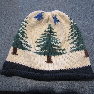 Sierra's Attic State of Maine Flag Pine Tree Star Cotton Roll Hat Cap ...