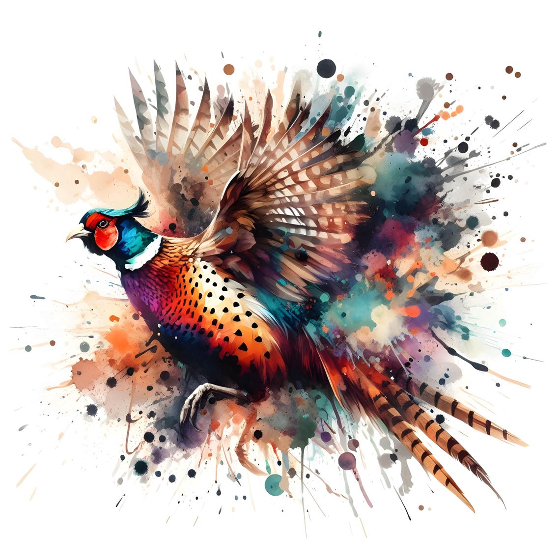 12 Bird Clipart Pack Pheasant Clip Art Digital Art Pheasant Graphic Pheasant Print Pheasant ...