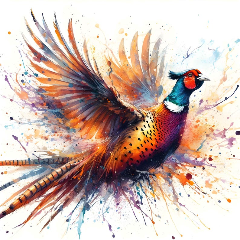 12 Bird Clipart Pack Pheasant Clip Art Digital Art Pheasant Graphic Pheasant Print Pheasant ...