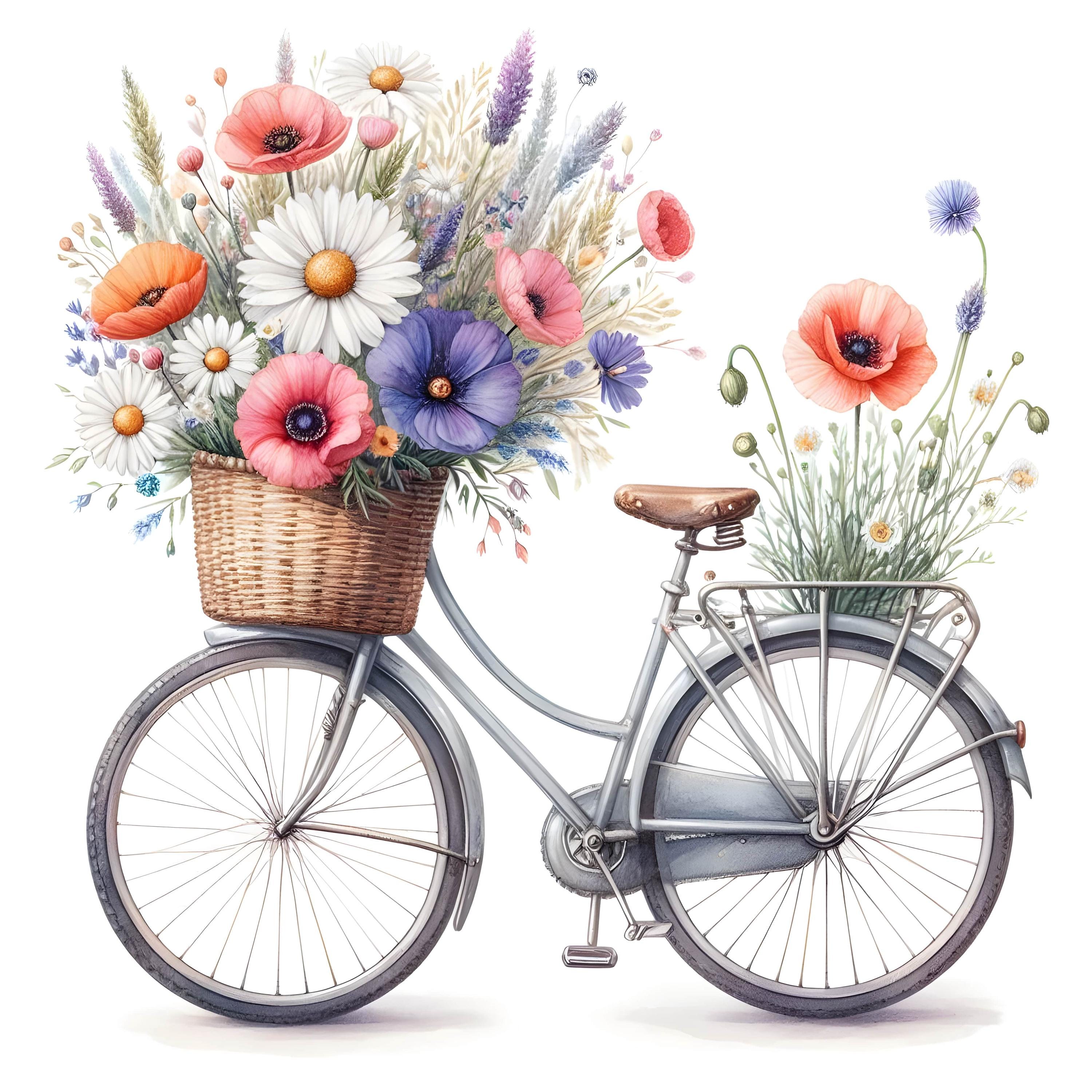 12 JPEG Flower Bikes, Bicycle Clipart, Watercolor Bikes Collection ...