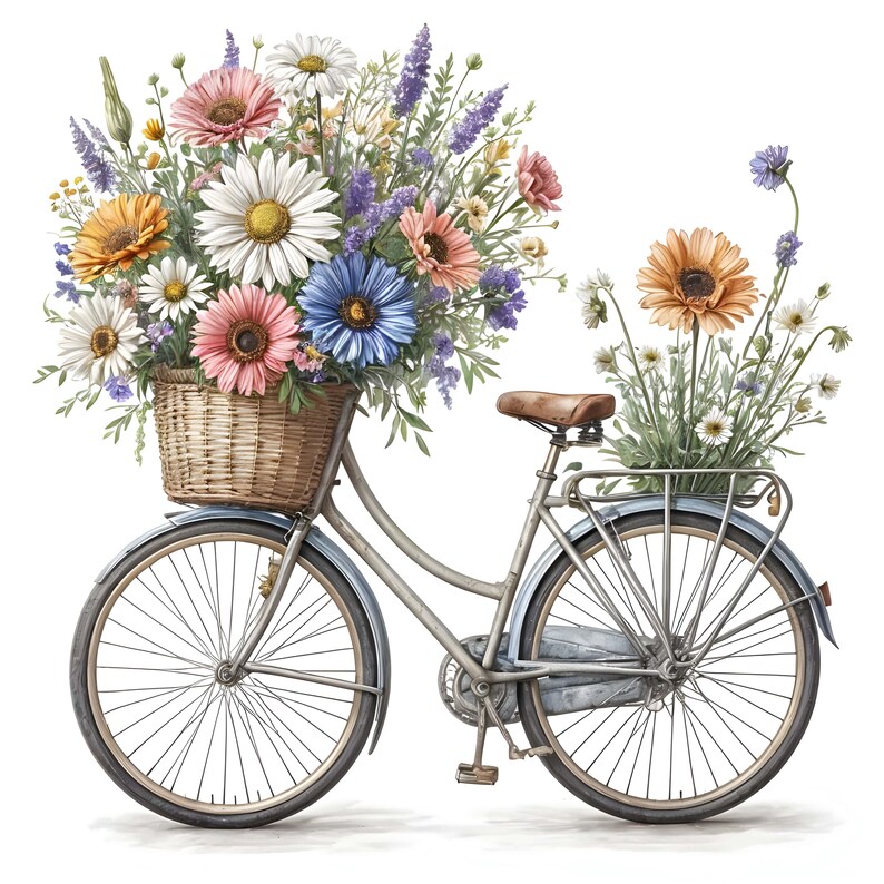 12 JPEG Flower Bikes, Bicycle Clipart, Watercolor Bikes Collection ...