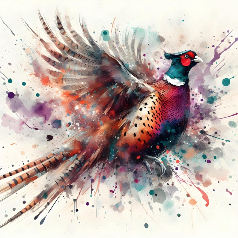 12 Bird Clipart Pack Pheasant Clip Art Digital Art Pheasant Graphic Pheasant Print Pheasant ...
