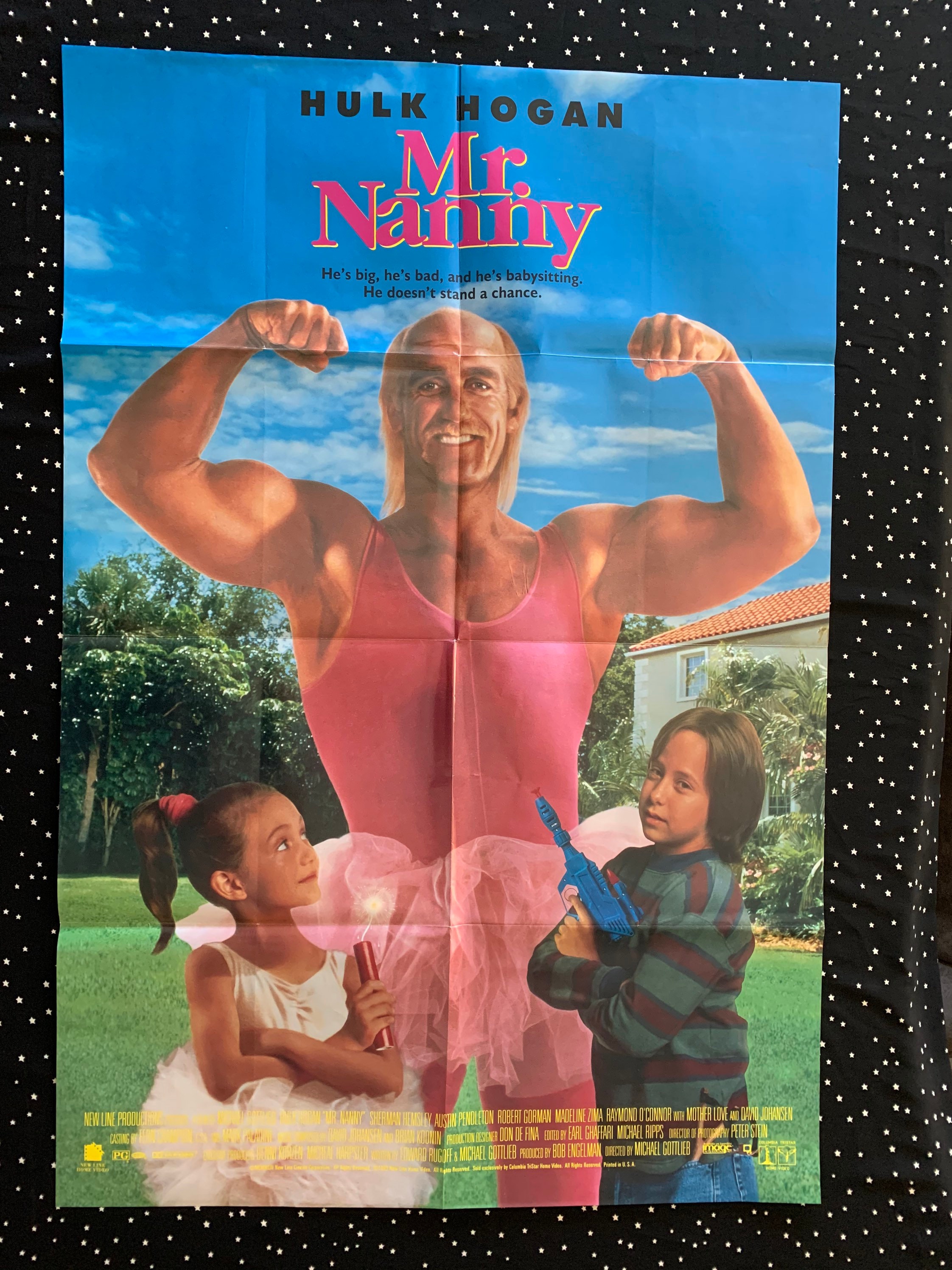 Mr Nanny Poster