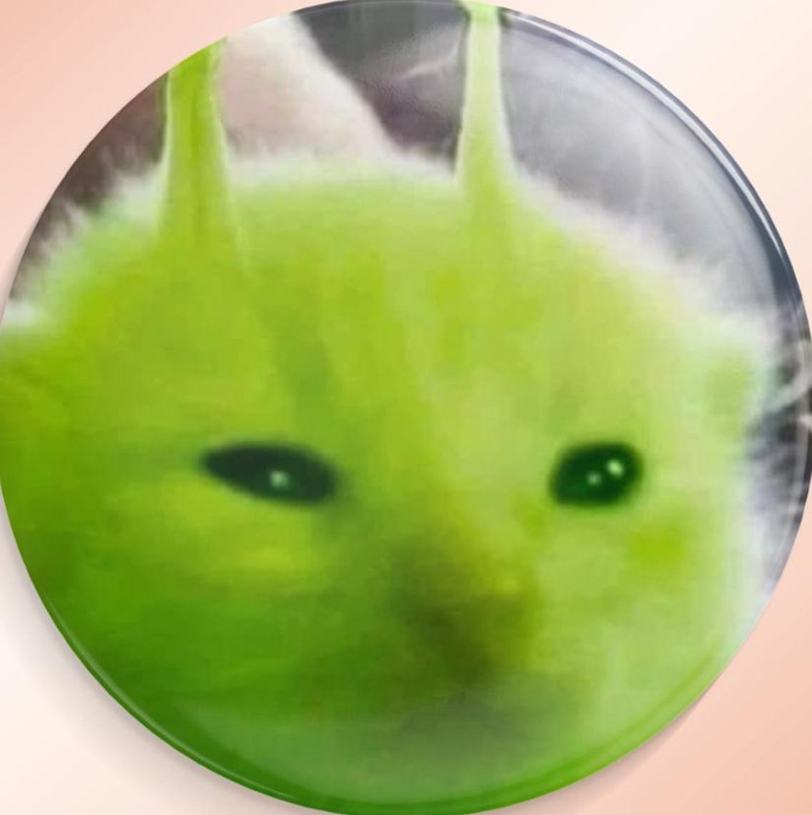 PREORDER Alien Cat Pin Set - Etsy