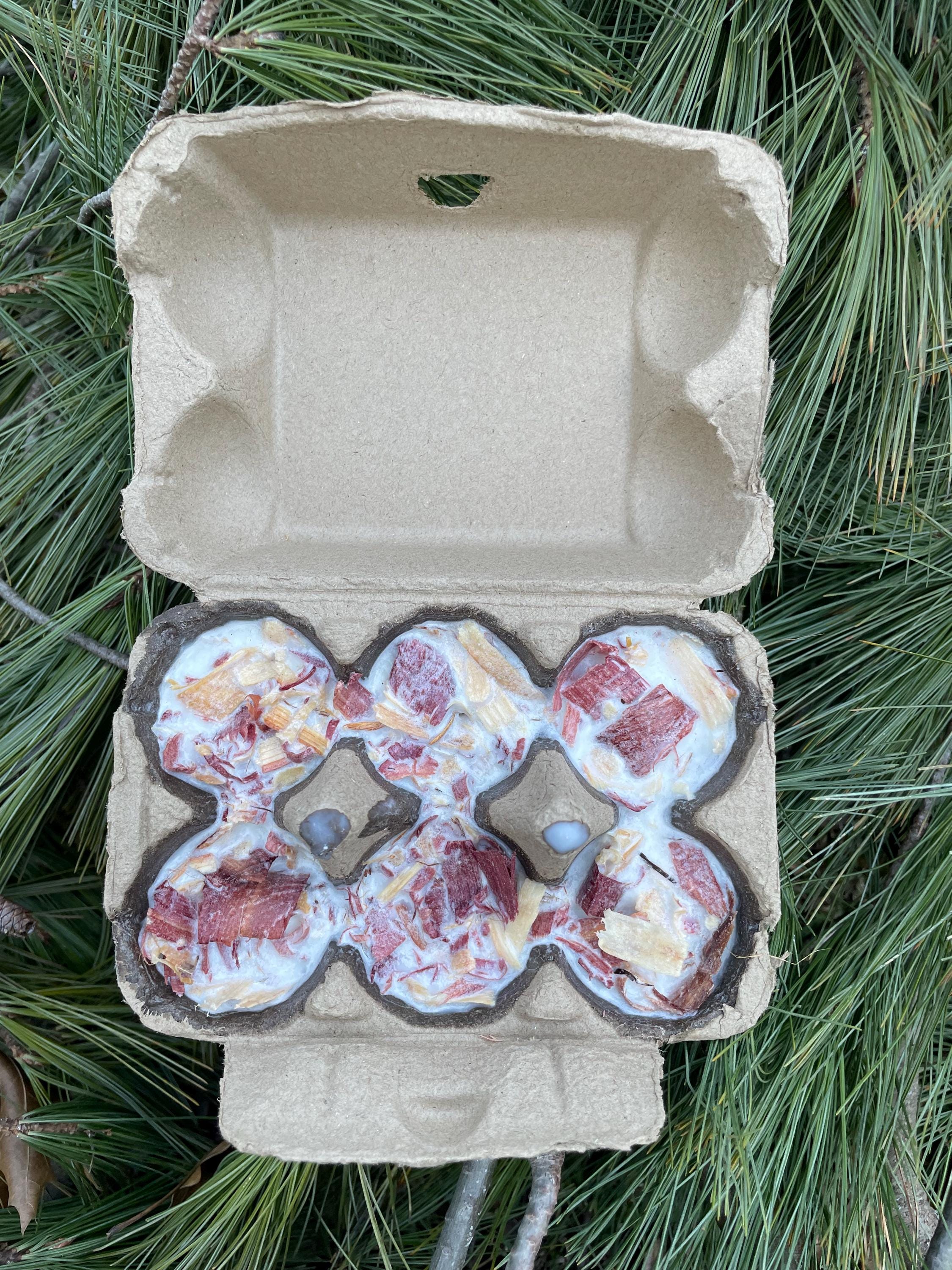 Fire Starter, Campfire, Fireplace, Fire Pit, Emergency, Survival ...