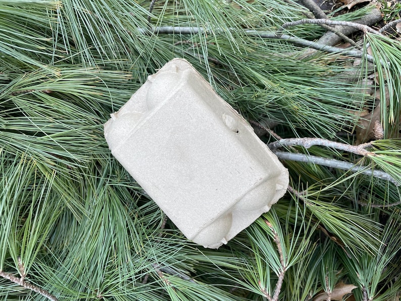 Fire Starter, Campfire, Fireplace, Fire Pit, Emergency, Survival ...