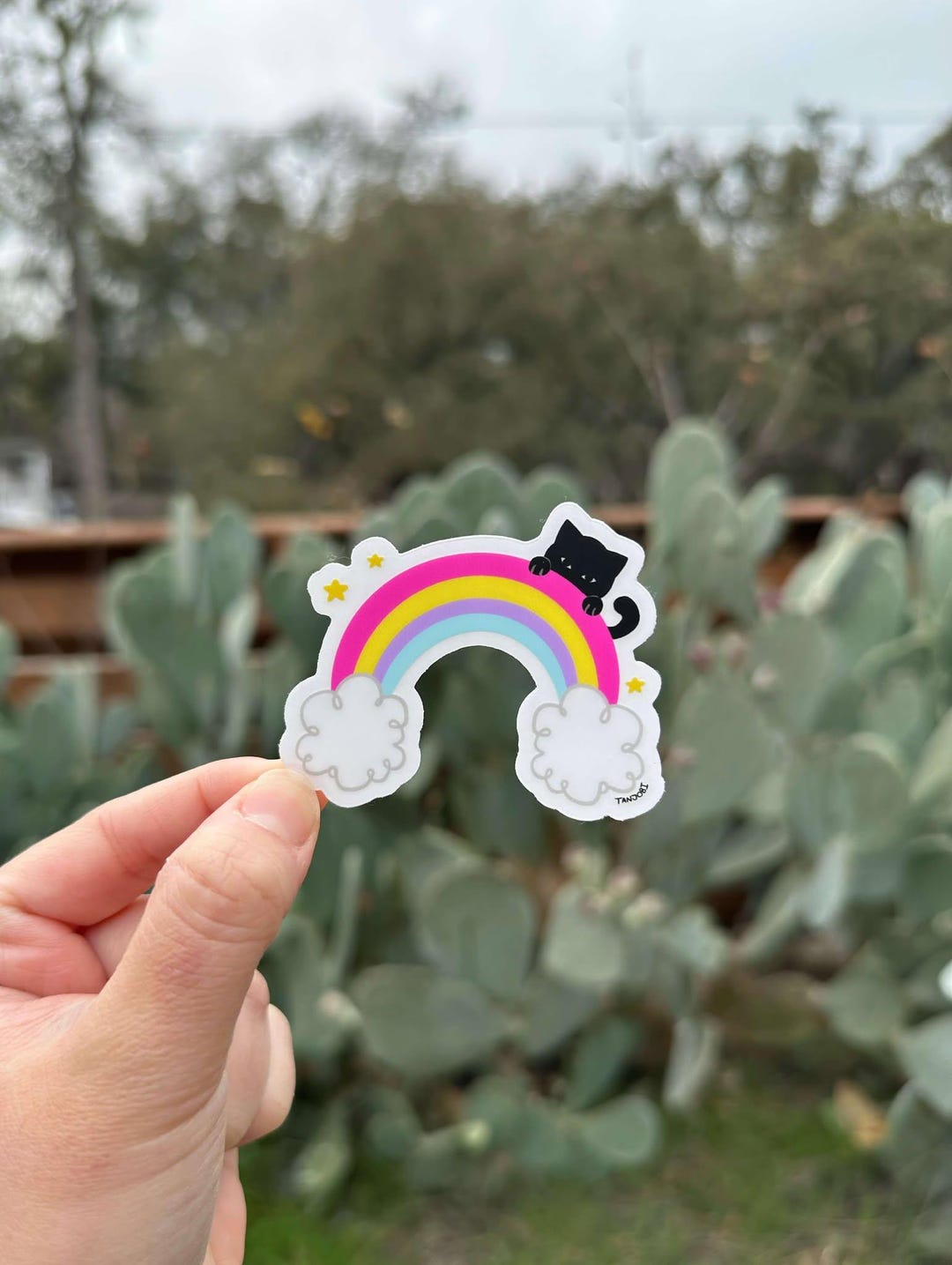 Rainbow Gato Sticker 2.5x3 - Etsy