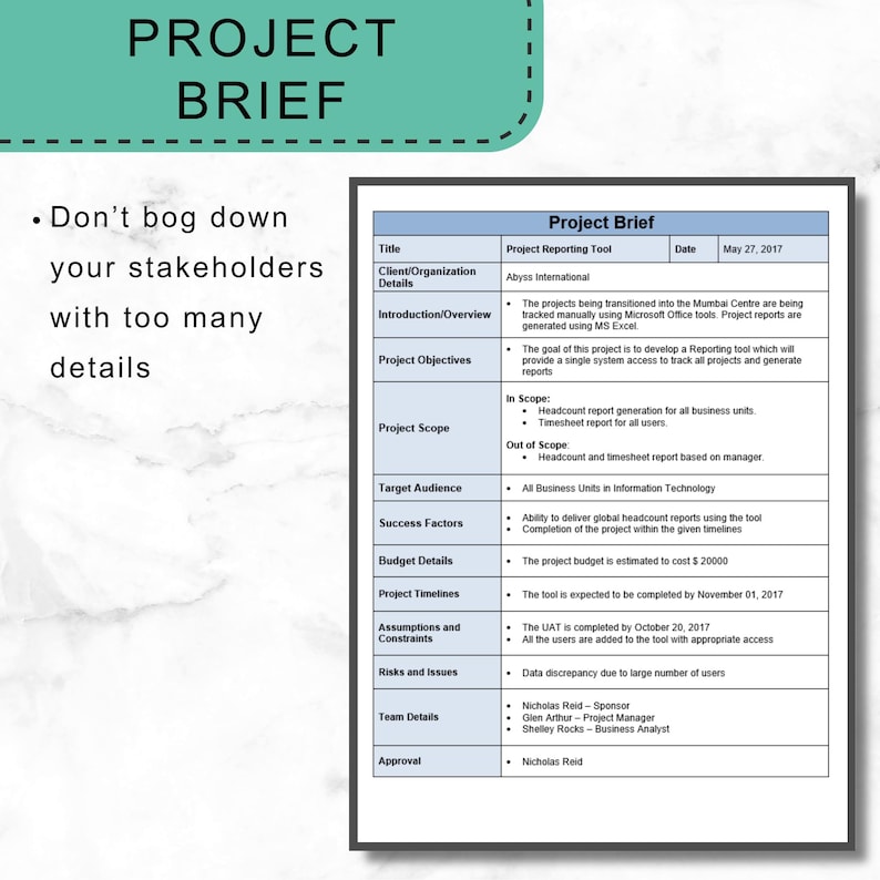 Project Brief, Project Reporting Tool, Scope and Objectives ...