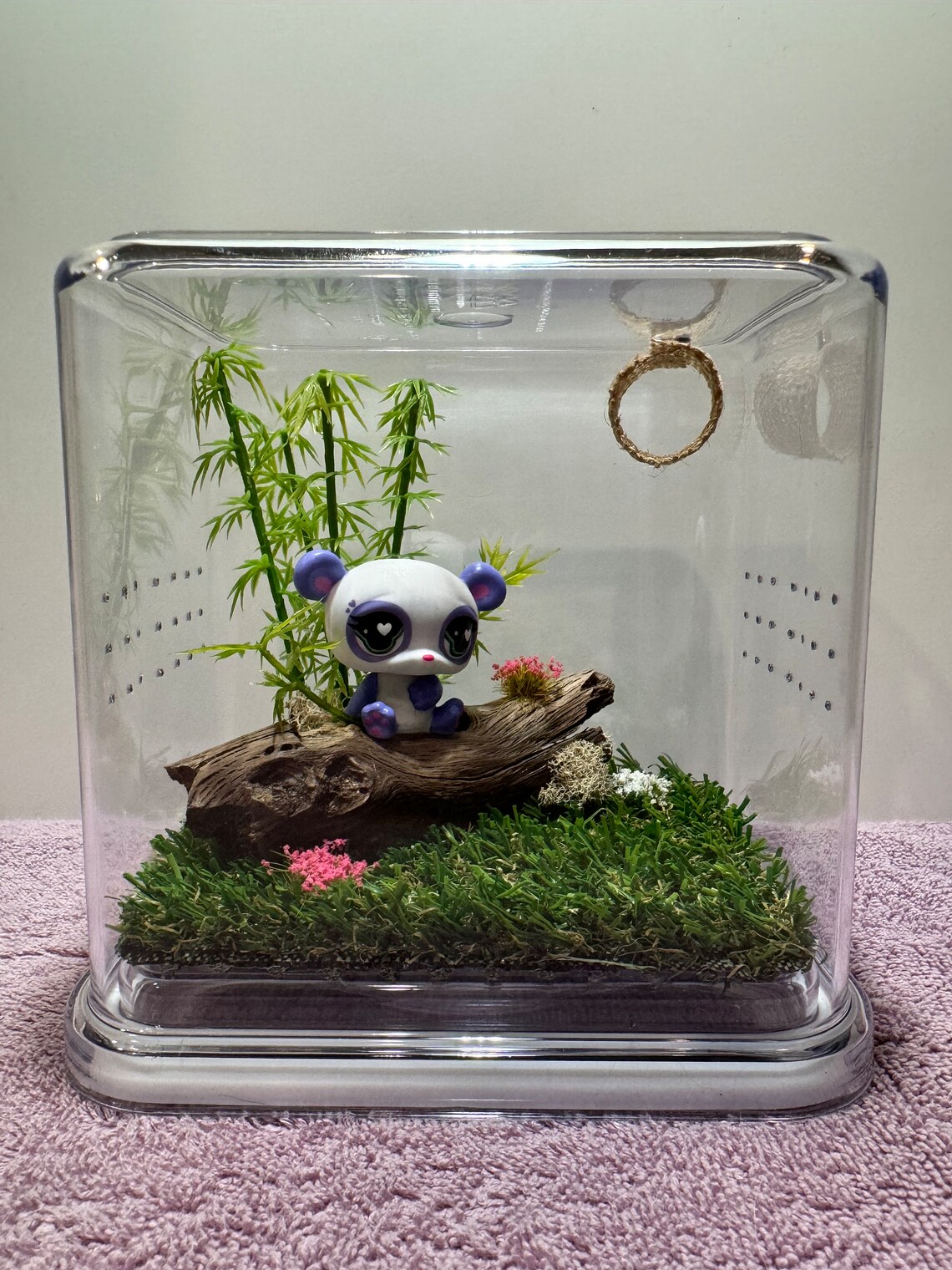 Handcrafted Jumping Spider Enclosure - Littlest Pet Shop Themed Panda ...