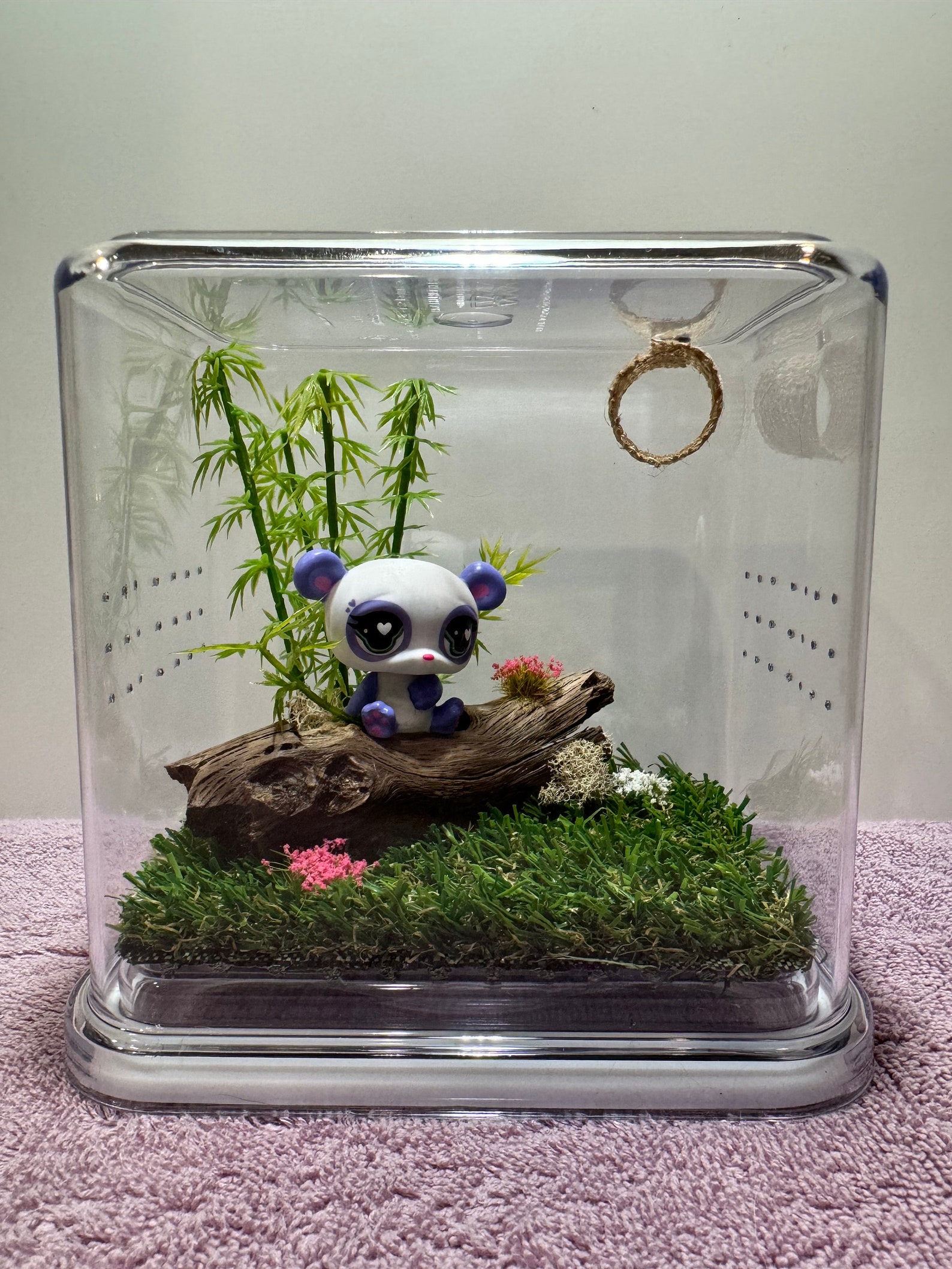 Handcrafted Jumping Spider Enclosure - Littlest Pet Shop Themed Panda ...