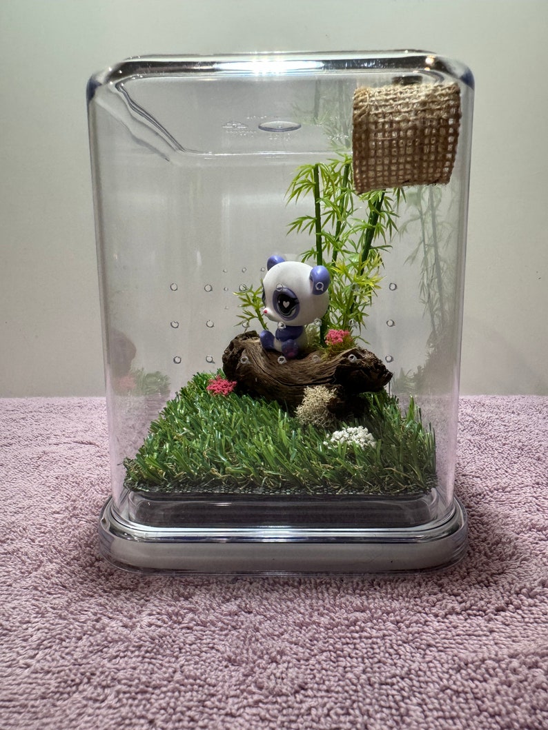 Handcrafted Jumping Spider Enclosure - Littlest Pet Shop Themed Panda ...