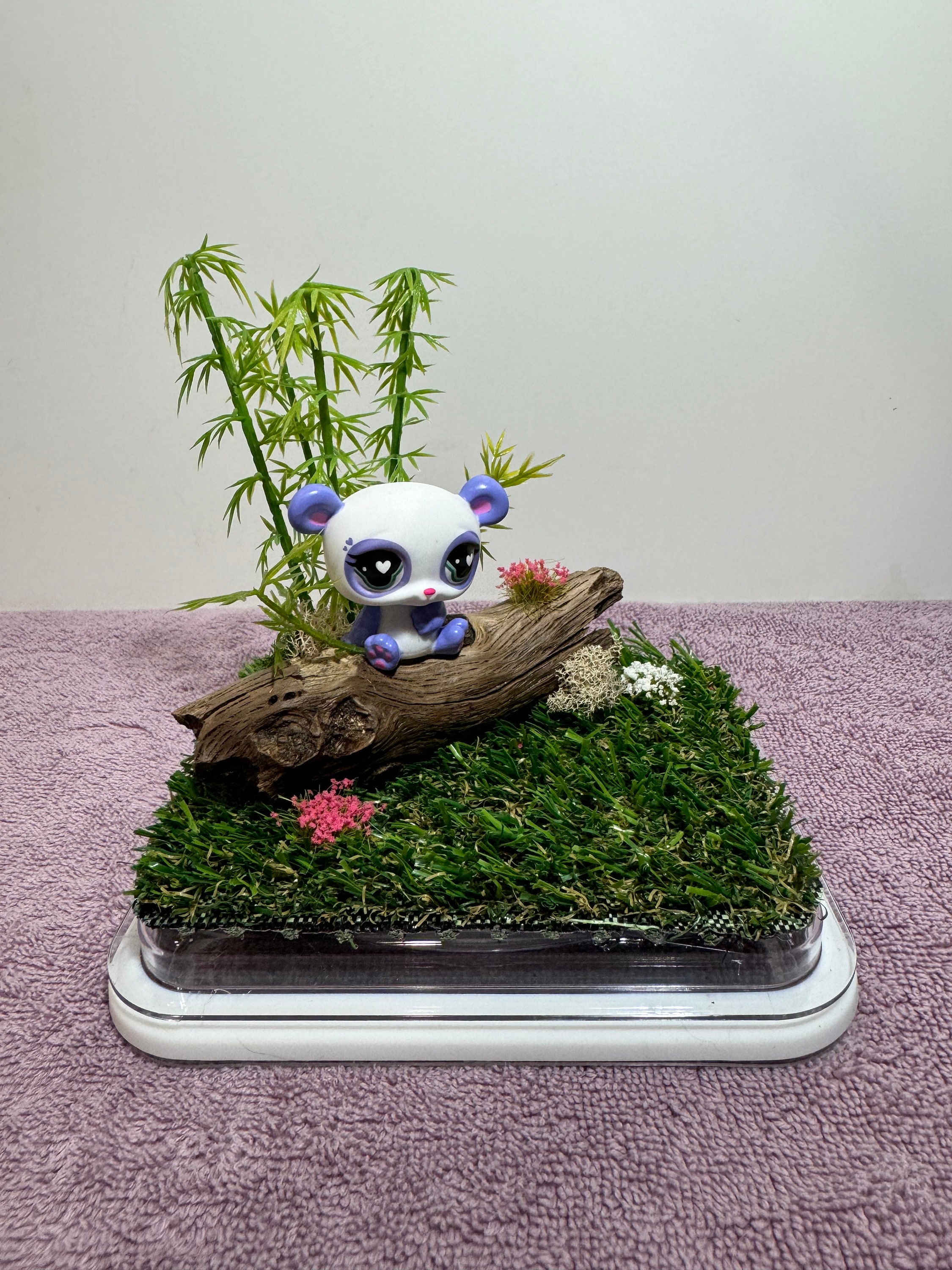 Handcrafted Jumping Spider Enclosure - Littlest Pet Shop Themed Panda ...